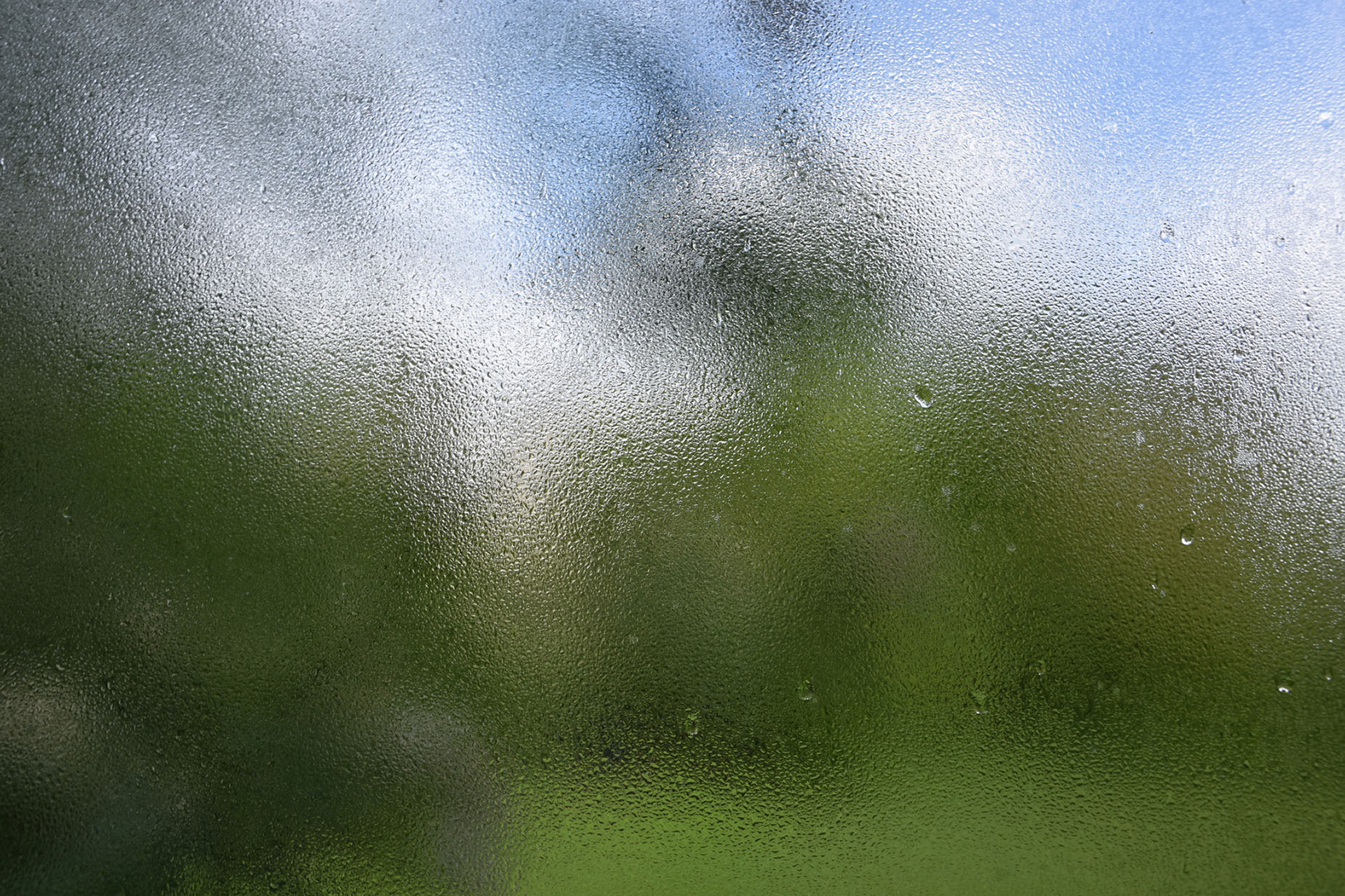 Bulletin, August 12, 2007 | Operation Terra