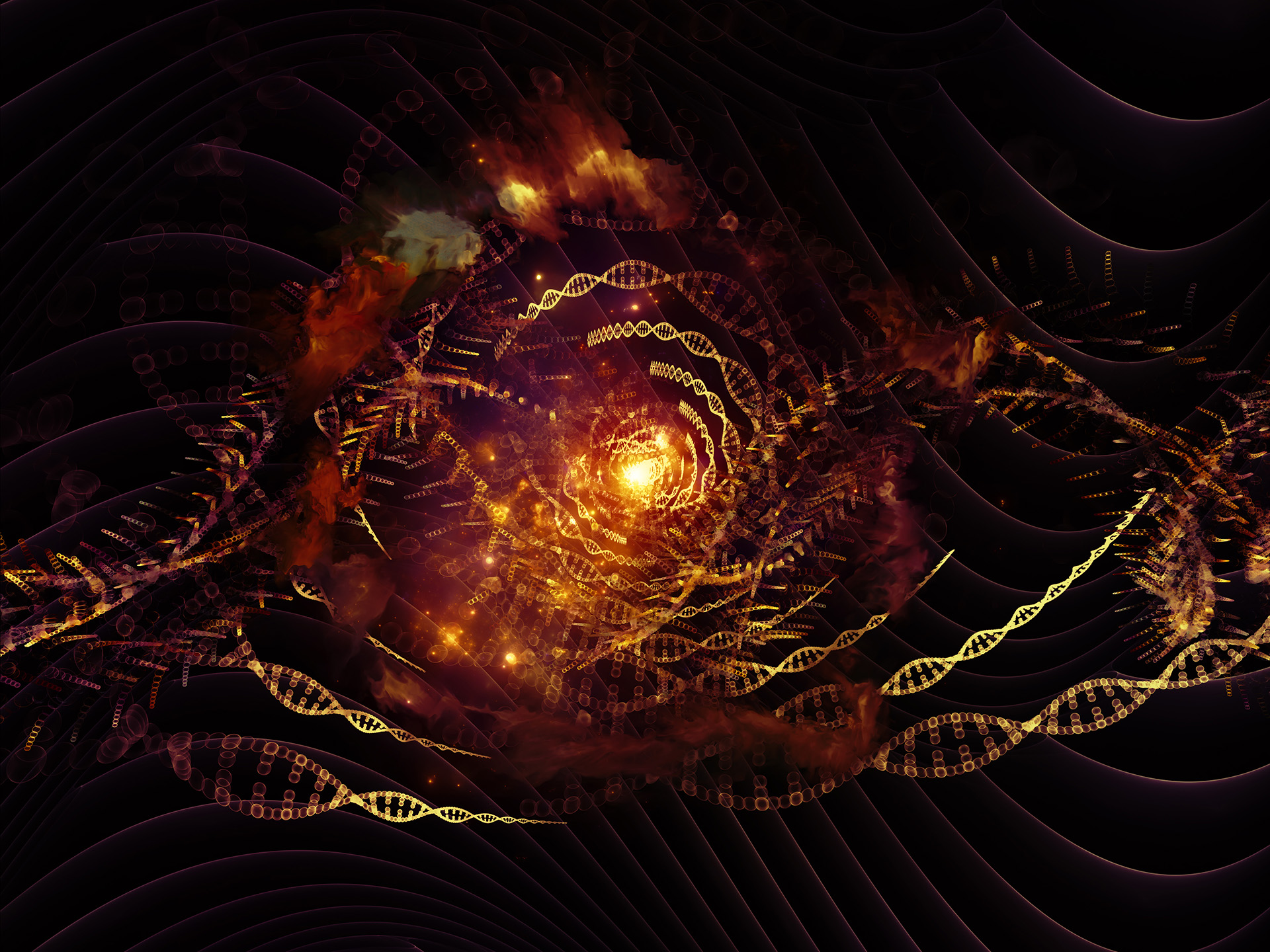 On Becoming a "human" Being | Operation Terra